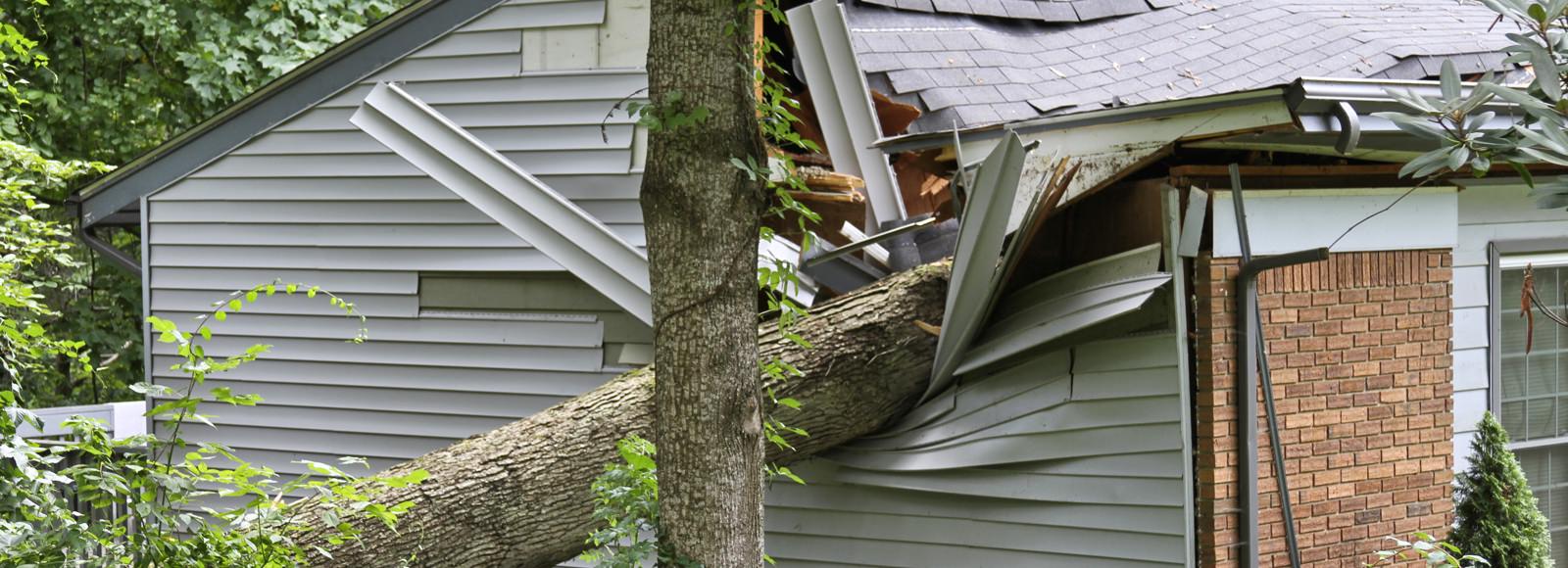 Wind Damage - PPD Restorations